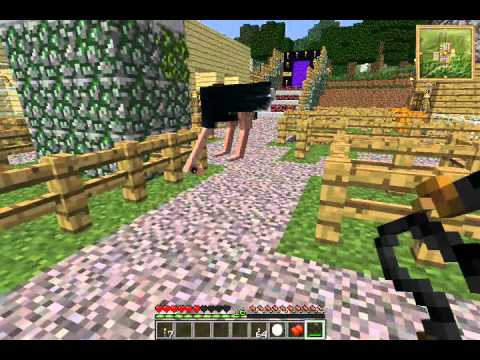 MineCraft Lietuviskai Islikimas: Struciai bei Pegasas!!! EP41 - YouTube