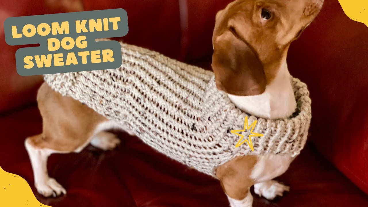 How to Loom Knit a Dog Sweater - YouTube