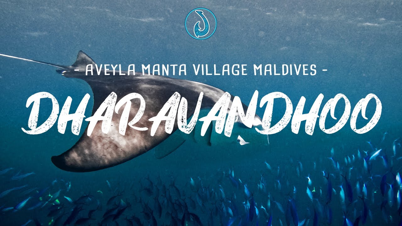 Aveyla Manta Village - Best place to stay in Dharavandhoo, Maldives ...