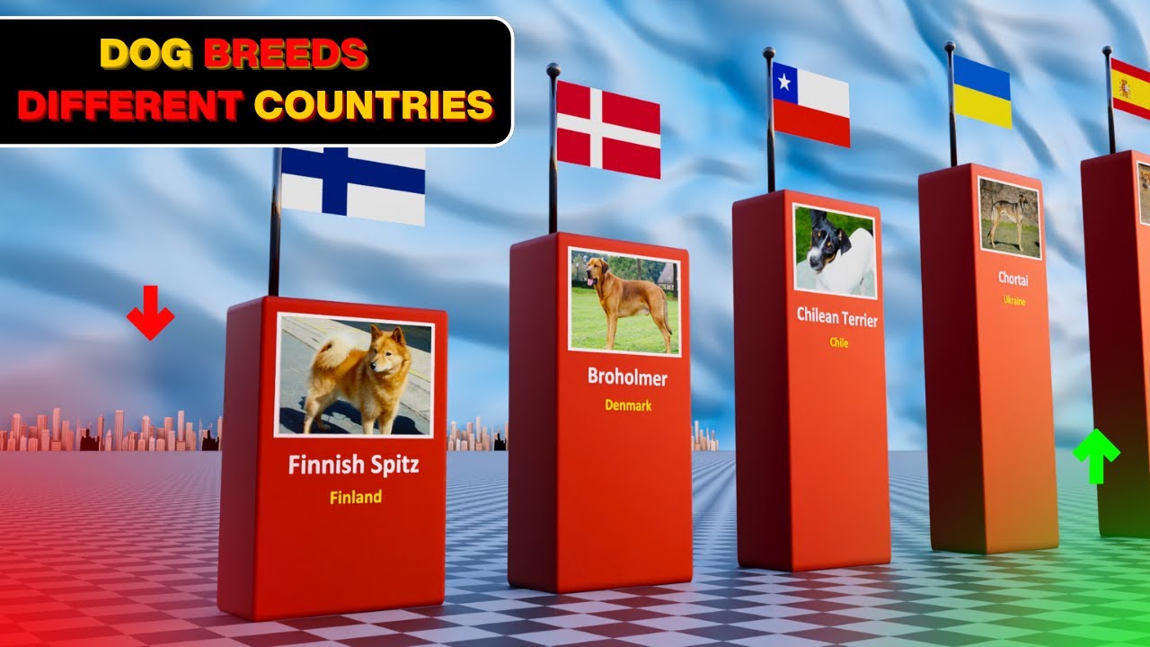 Most Popular Dog Breeds by Country (3D Comparison) - YouTube