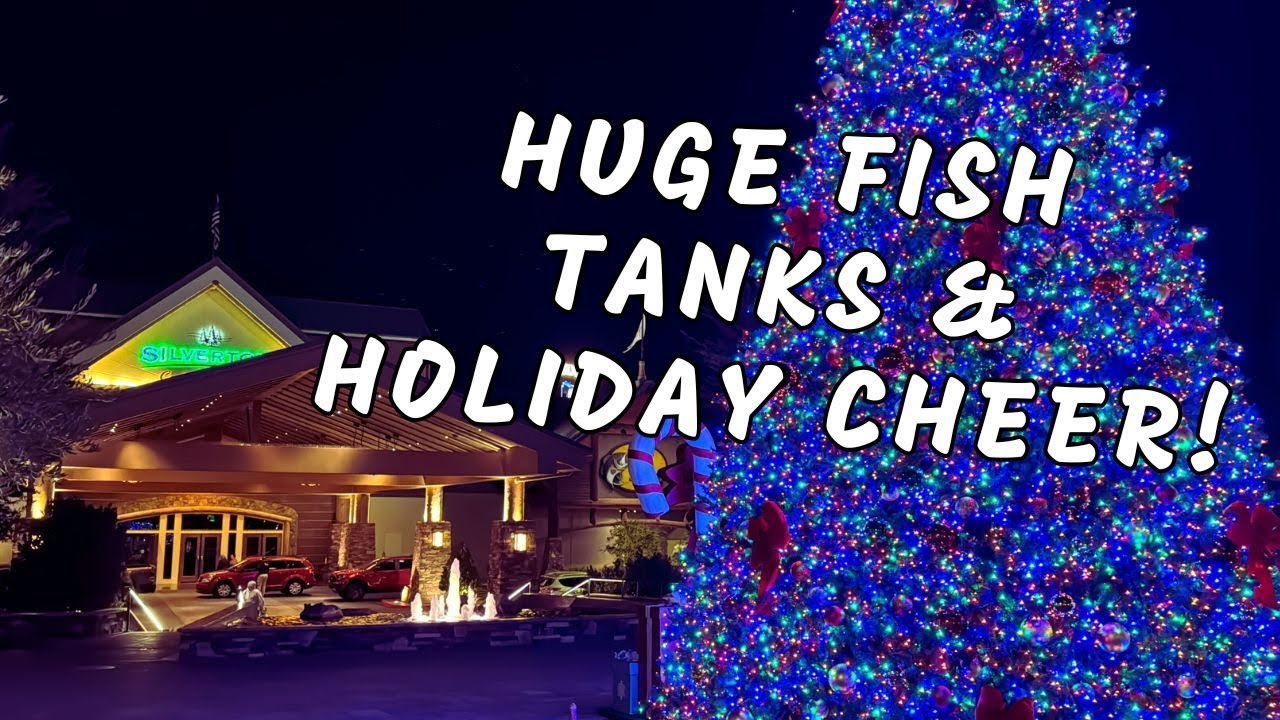 Silverton Lodge & Casino Christmas Tree Lights Up! X-Mas Season at Off ...