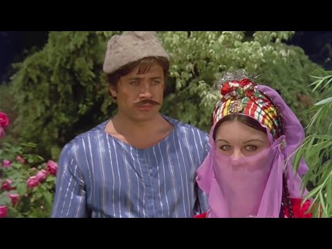 Köroğlu - Kız tayı Bolu beyinden kurtarıyor