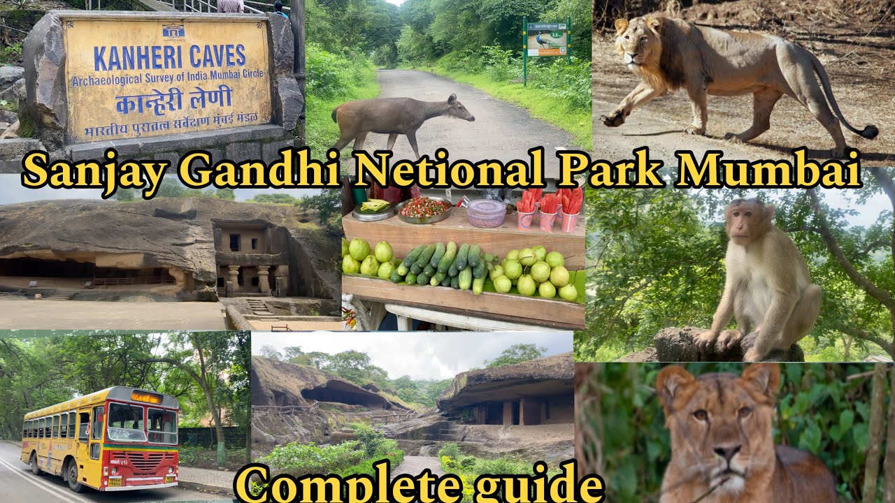Sanjay Gandhi Netional Park Borivali Mumbai Complete Tour | Tiger ...