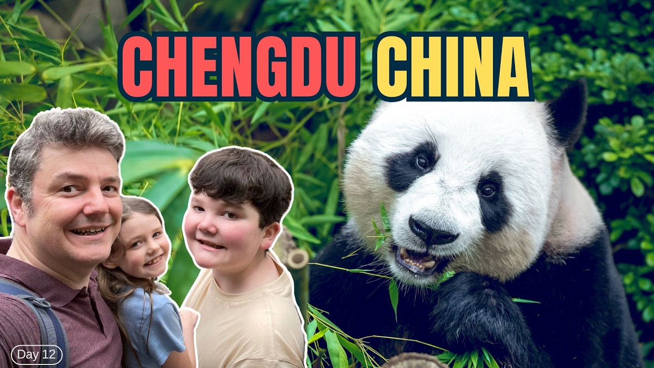 We visited the CHENGDU PANDA BASE the BEST place to see PANDAS in CHINA ...