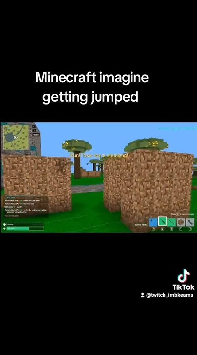 Minecraft imagine getting jumped - YouTube