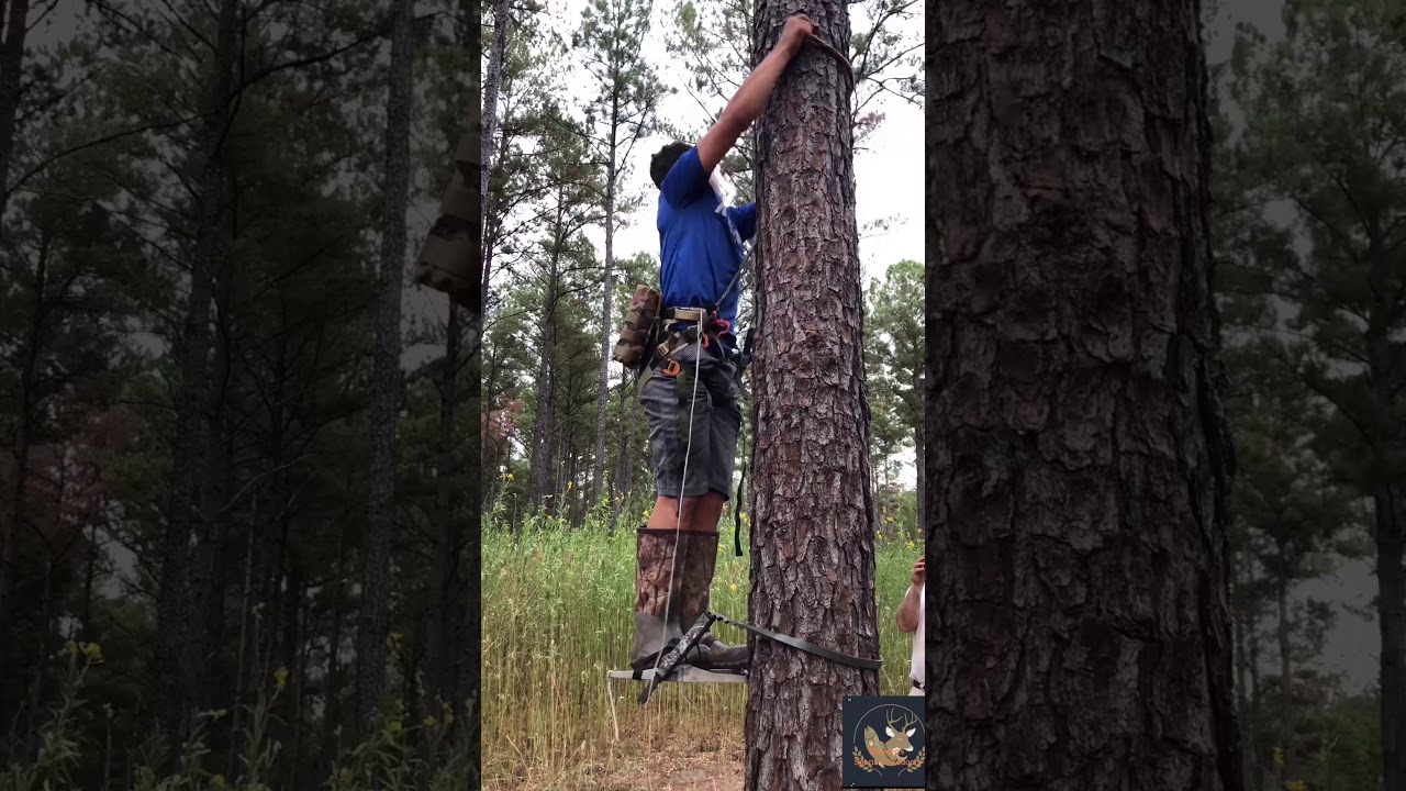 Awesome climber set up for hunting - YouTube