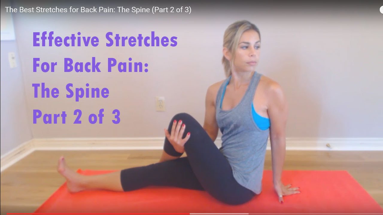 The Best Yoga Stretches for Back Pain: The Spine (Part 2 of 3) - YouTube