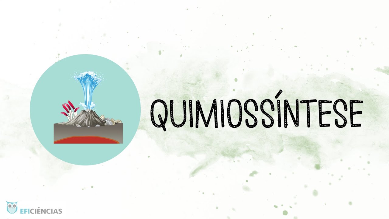 Quimiossíntese - Biologia e Geologia 10ºano - YouTube