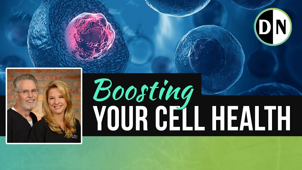 Boosting Your Cell Health - Doctor's Nutrition Show - YouTube
