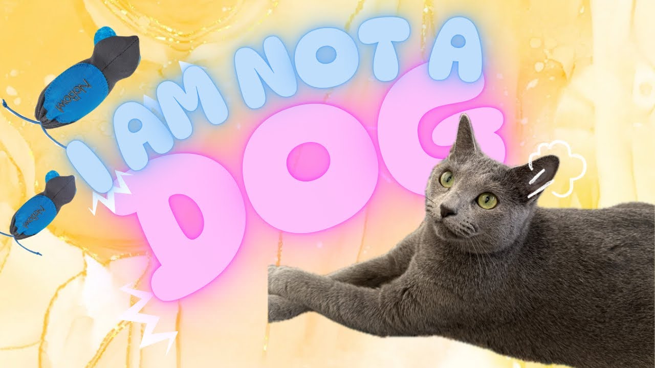I AM NOT A DOG! - YouTube