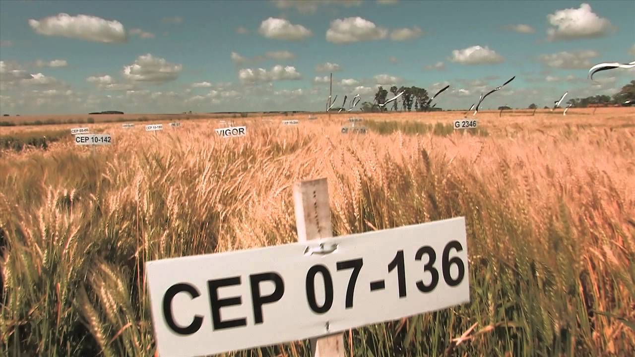 Presentación FADISOL - YouTube