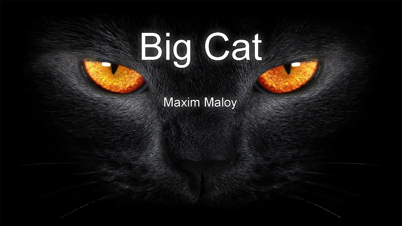Big Cat | Maxim Maloy - YouTube