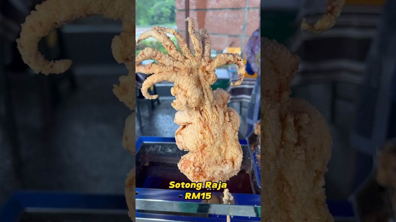 SOTONG RAJA BETUL2 ‘KING’ 👑 #reviewmakanan #food #asmrfood #foodie ...