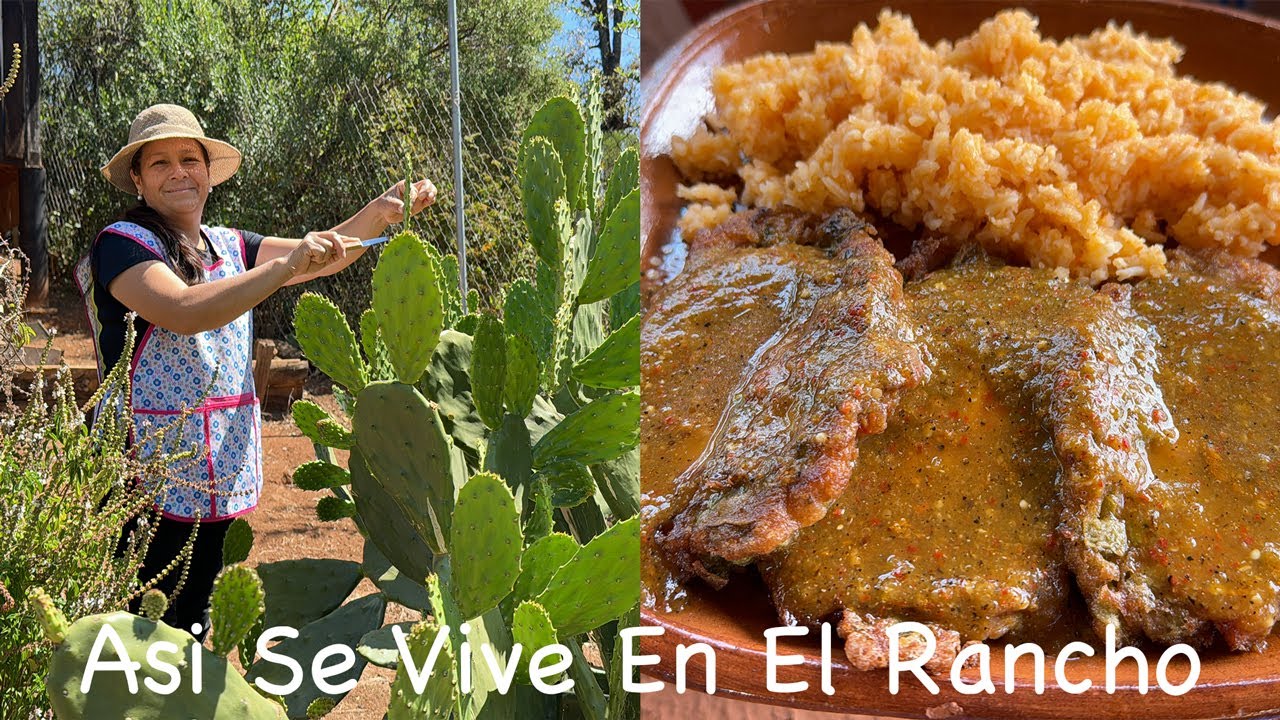 Esta Comida La Hago Muy Seguido En El Rancho - Asi Se Vive En El Rancho ...
