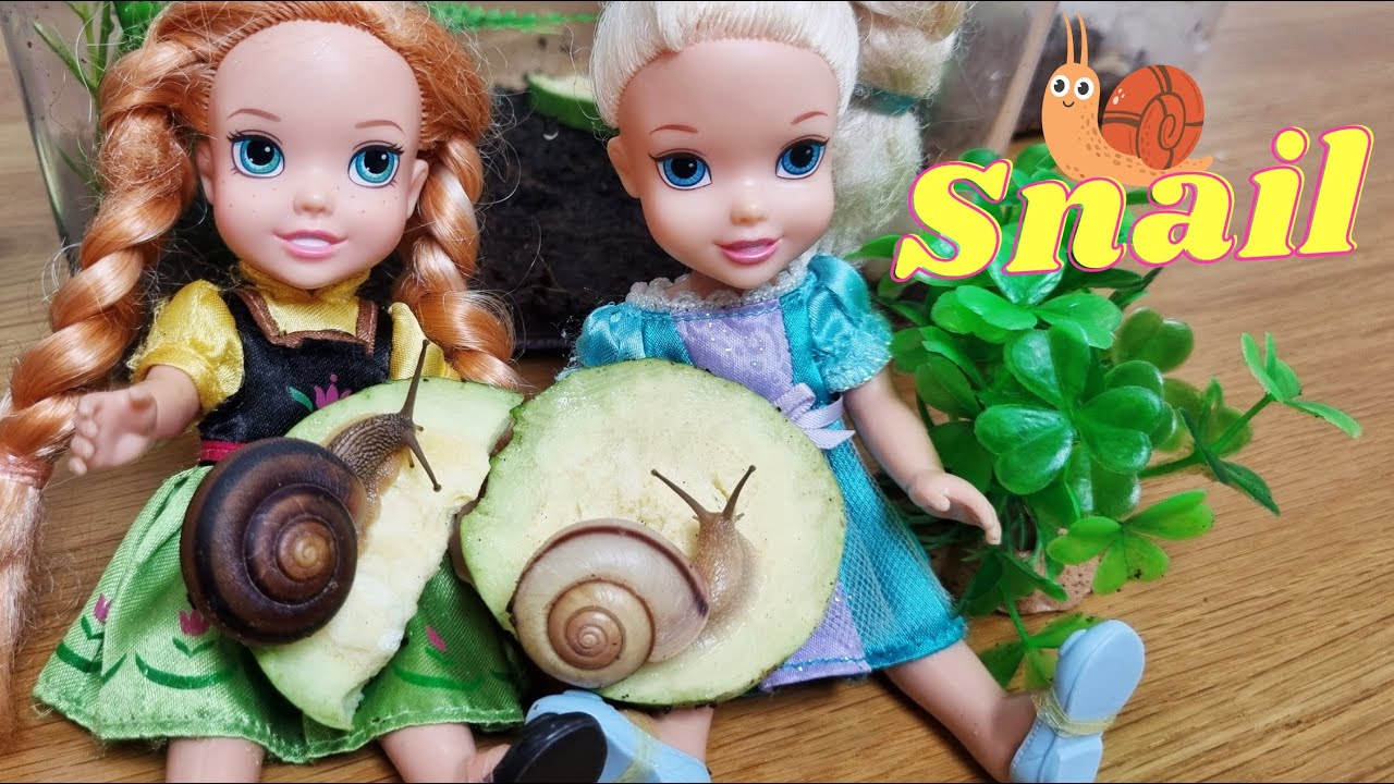 🐌 ️Cute Snail ! Elsa and Anna toddlers | Snail | 달팽이 - YouTube