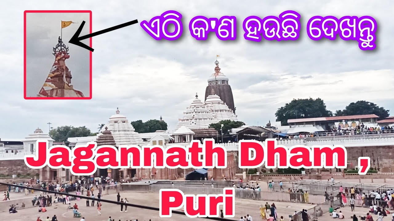 Puri Jagannath Dham // Jagannath Mandira Neta Bandha Drushya // Piyush ...