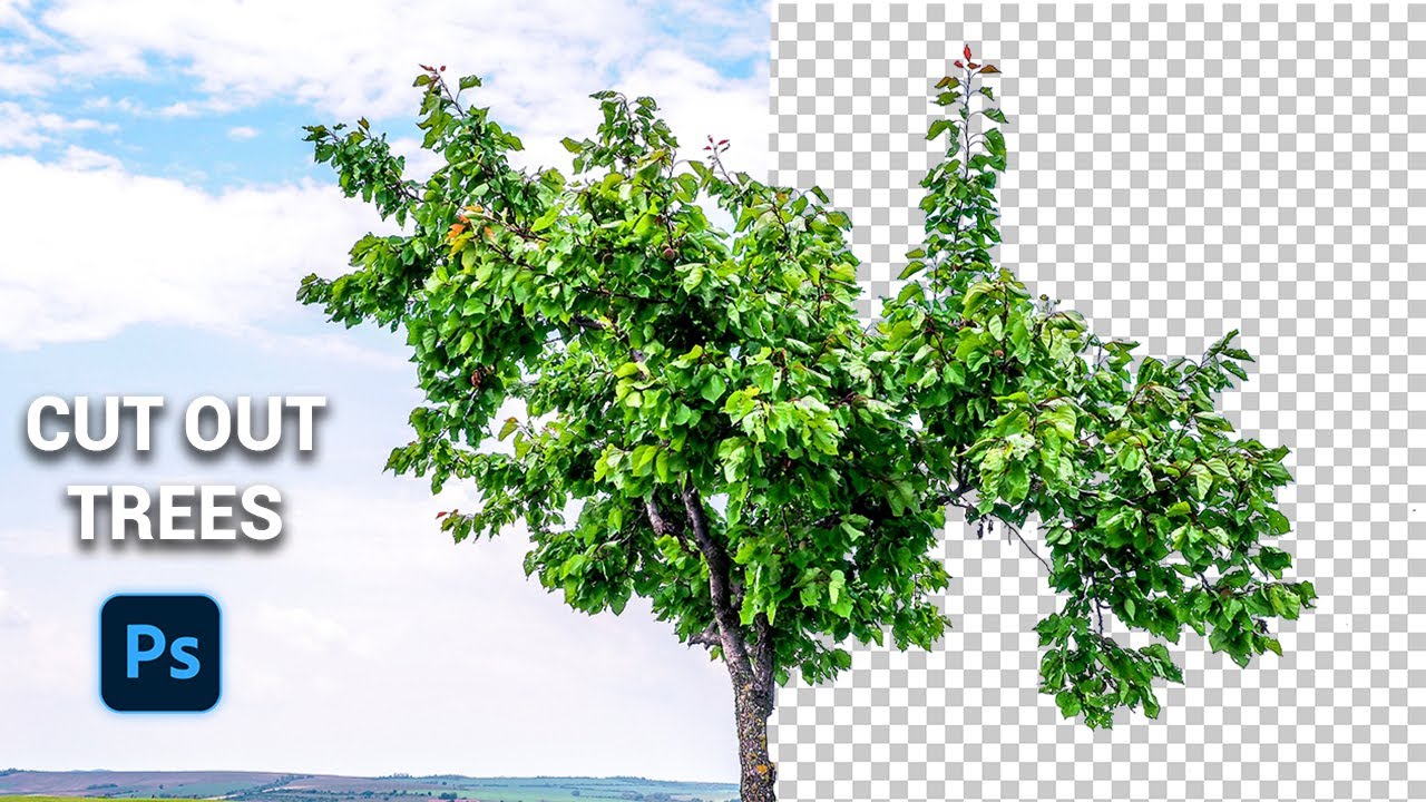 How to use channels to cut out trees in Photoshop - YouTube