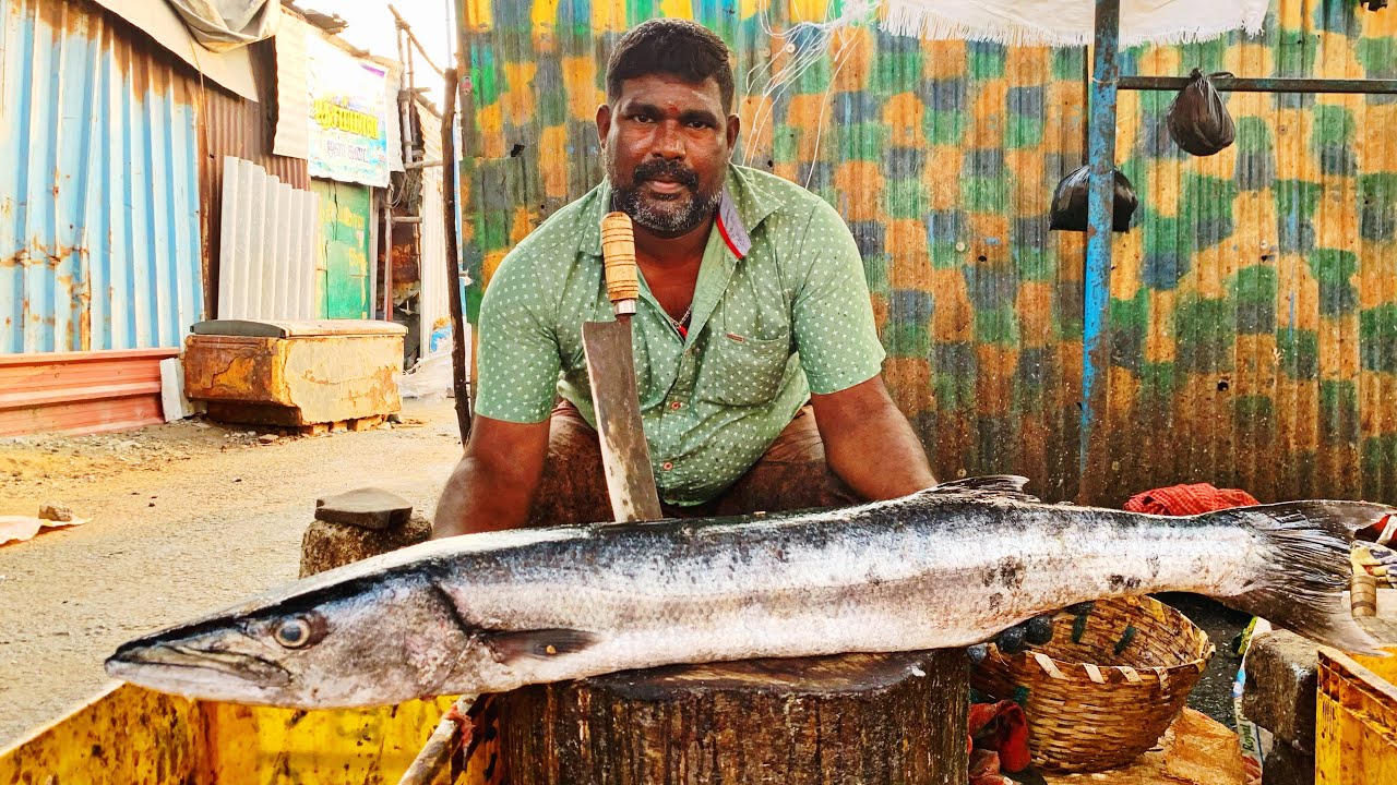 20kg amazing Seela fish 🔪kasimedu fish cutting 🔪 - YouTube