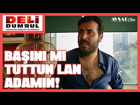 Başını mı Tuttun Lan Adamın / Deli Dumrul Kurtlar Kuşlar Aleminde