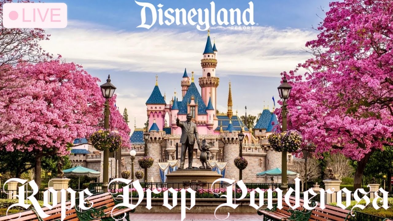 #LIVE | ROPE DROP PONDEROSA at DISNEYLAND - YouTube