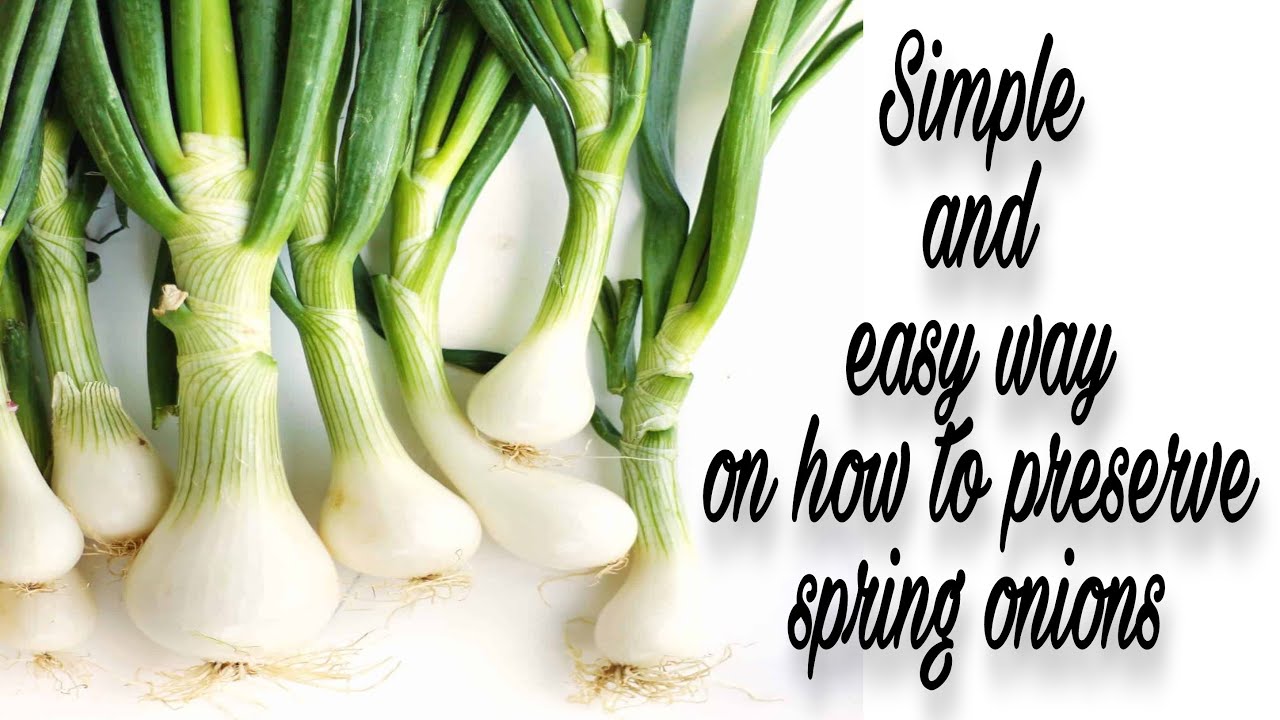 How to Preserve Spring Onions | Inday bangs - YouTube