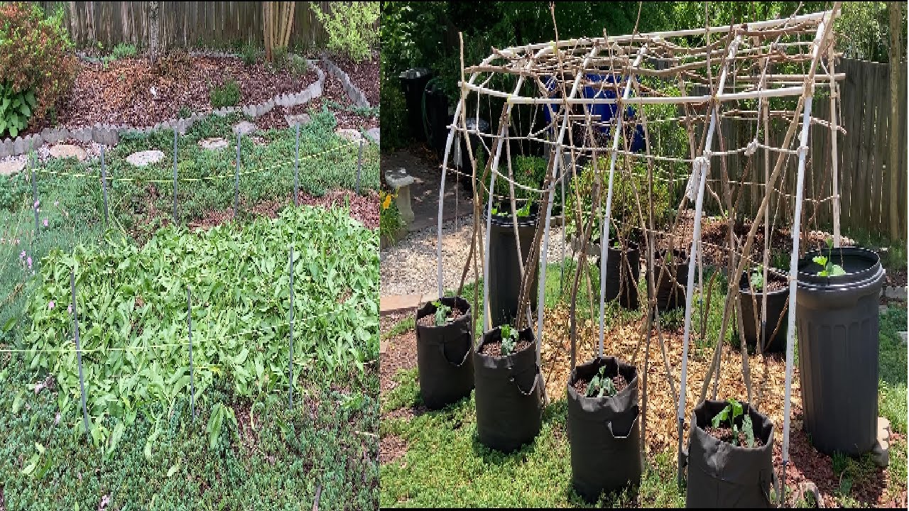 DIY craft: Trailer for an easy and cheap way to build a trellis for ...