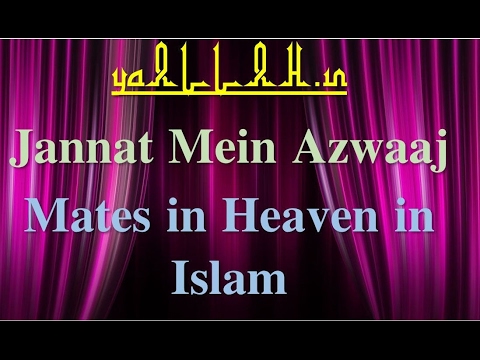 Life in Jannat- Heaven in Islam Description- Hadith of the Day - YouTube