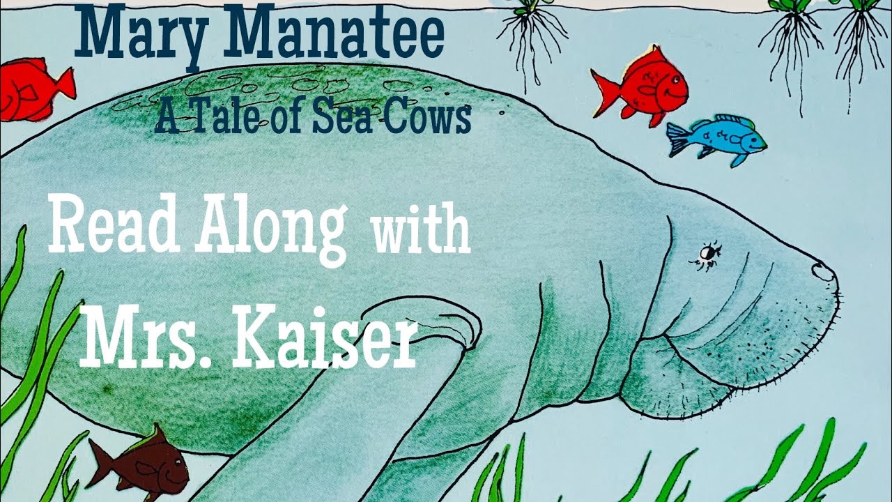 MARY MANATEE (a tale of Sea Cows) PREK READ ALONG | ocean sea life ...