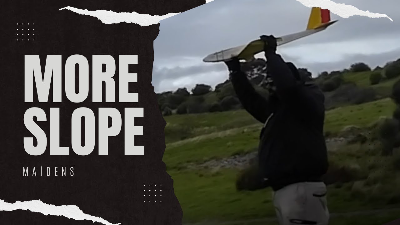 Slope soaring flights with a classic Ridge rat and a 3dp Planeprint ...