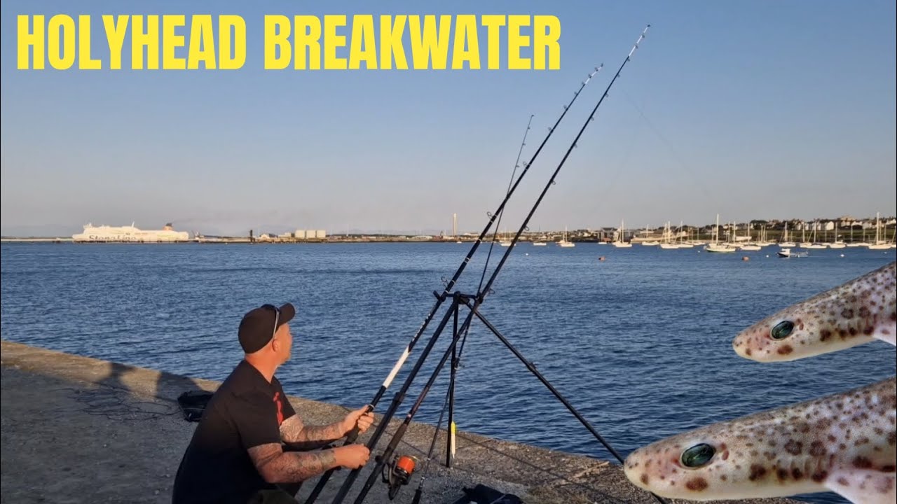 HOLYHEAD BREAKWATER FISHING | A day at the KENNELS - YouTube
