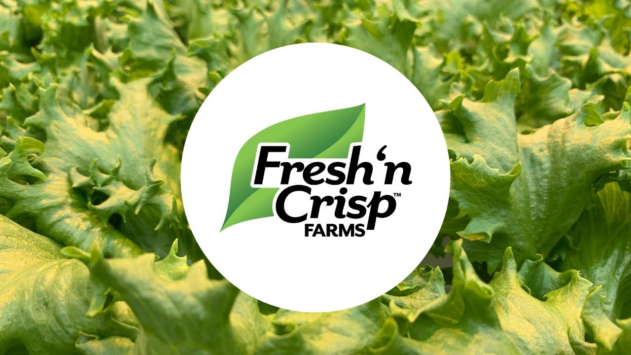 Meet Fresh 'n Crisp Farms - YouTube