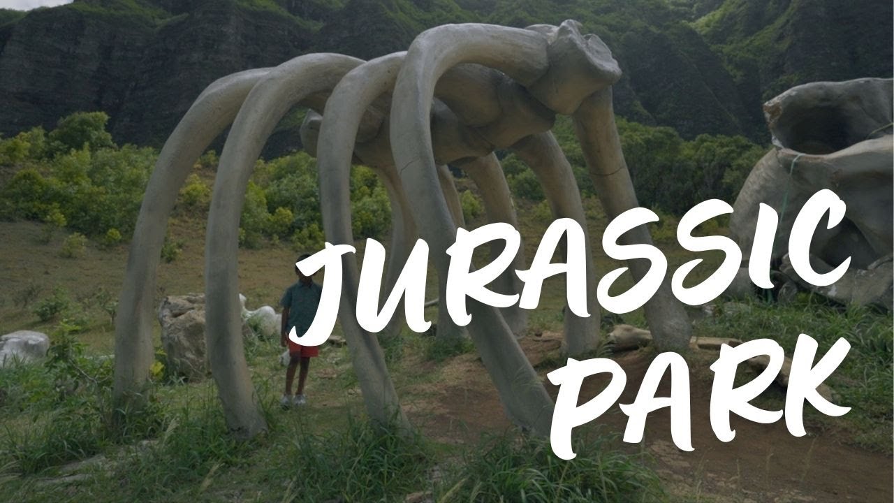 Jurassic Park Real Life - YouTube