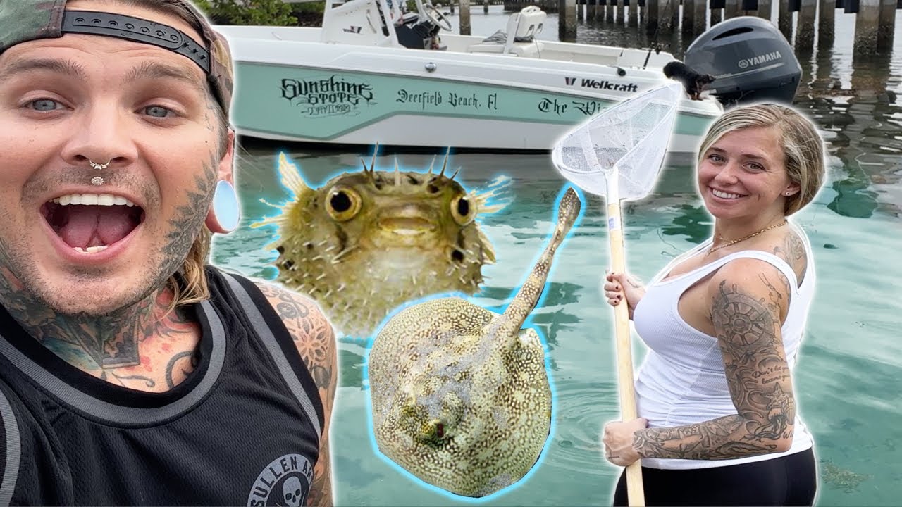 Catching Stingrays and Puffer Fish for my Salt Water Aquarium! - YouTube