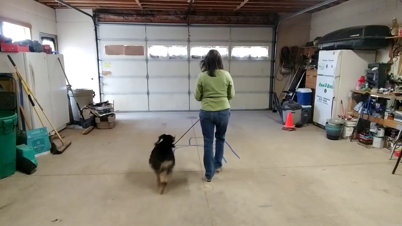 Rally Sign 29 - Left about turn - YouTube