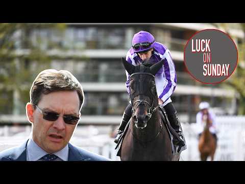 Aidan O'Brien: Albert Einstein Greenhams Leistung & wie es mit dem Pferd weitergeht | Glück am So...