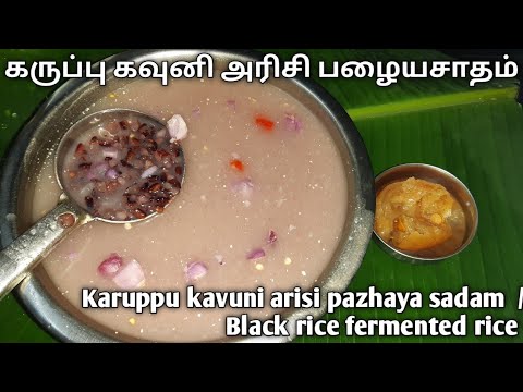 கருப்பு கவுனி அரிசி பழைய சாதம் | karuppu kavuni arisi recipe in tamil ...