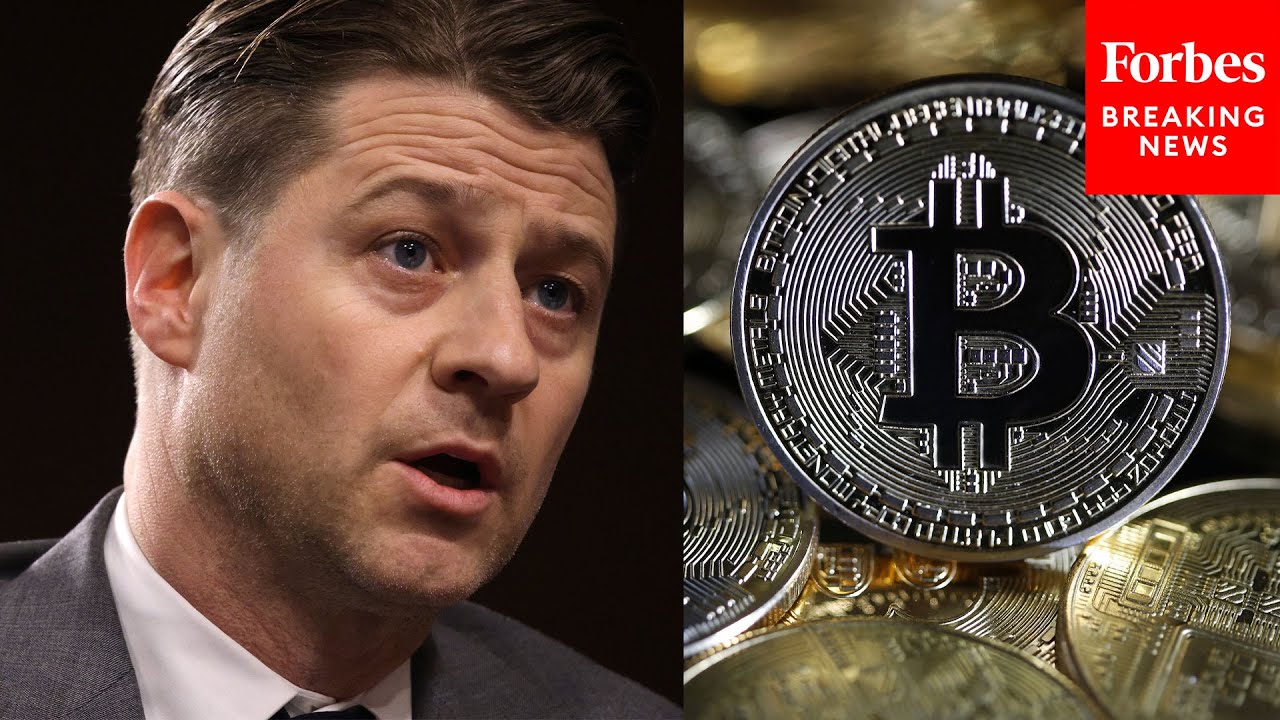 'The Largest Ponzi Scheme In History': Actor Ben McKenzie Testifies In ...