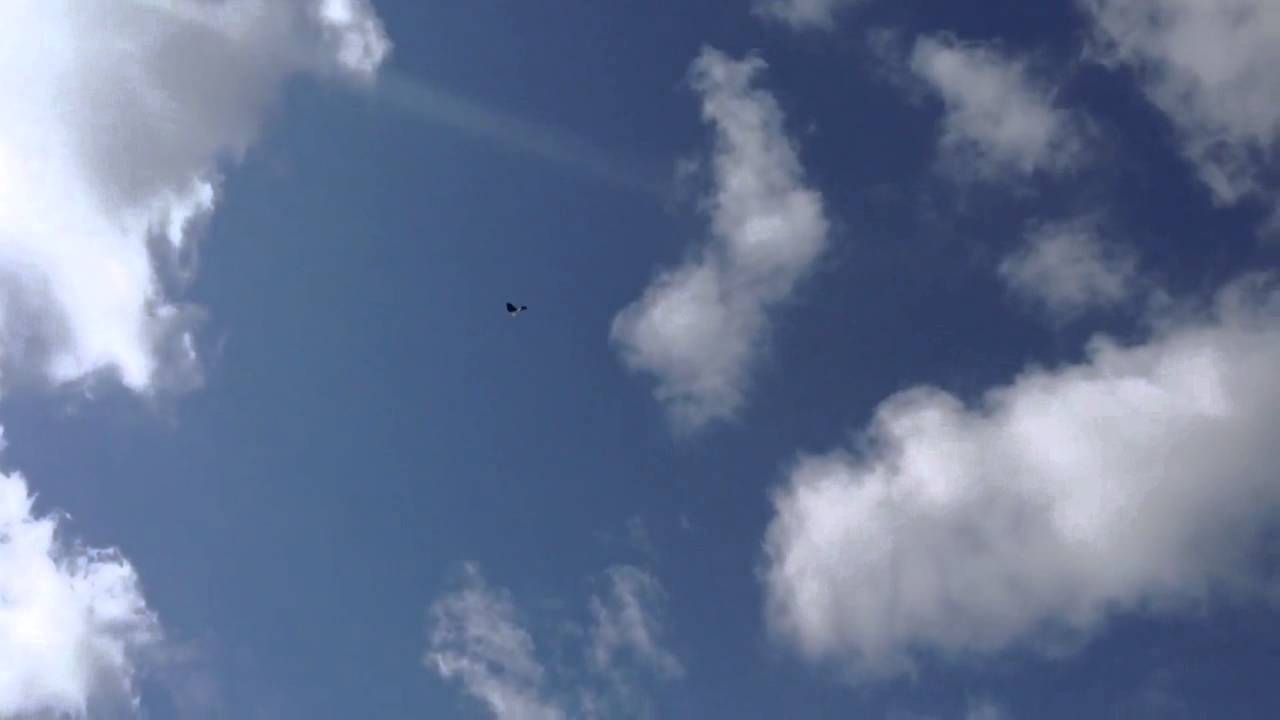 Kite shooting - YouTube