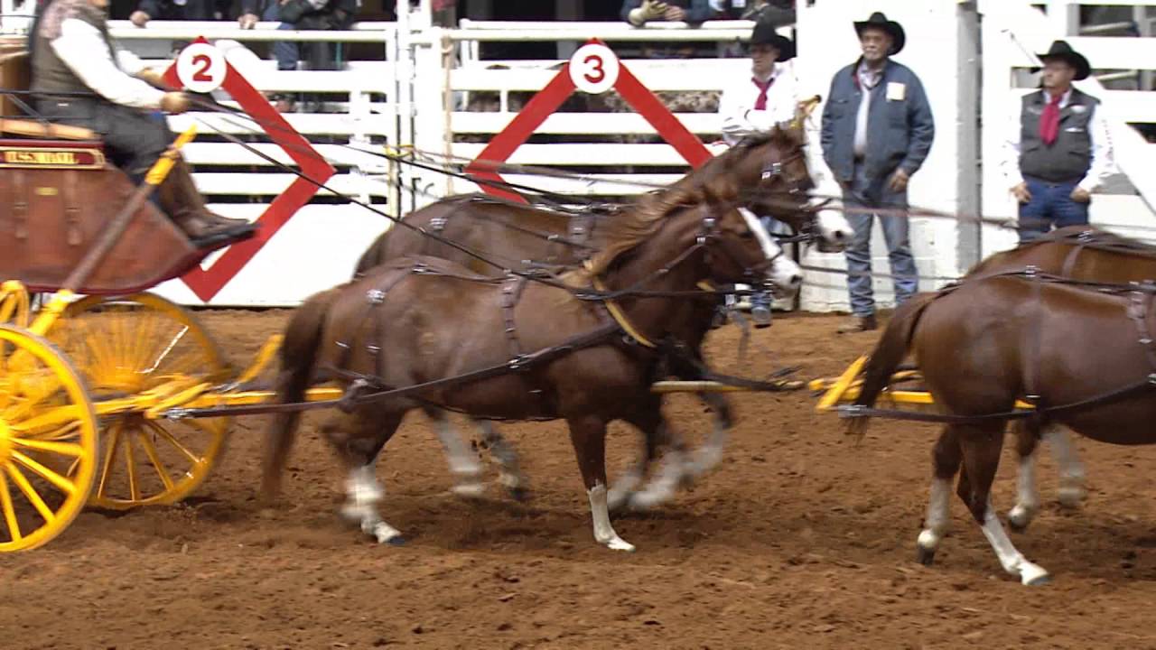 Wells Fargo Stagecoach - 2016 Fort Worth Stock Show and Rodeo - YouTube
