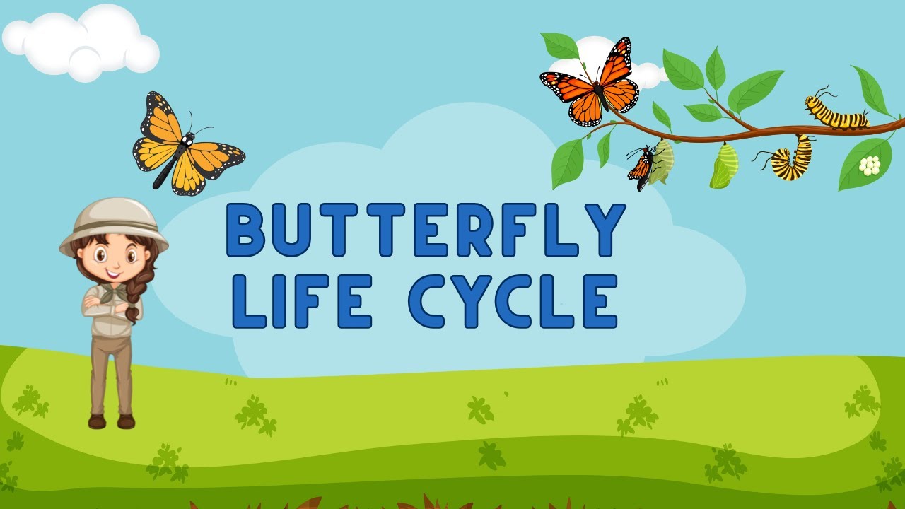 caterpillar life cycle for kids | kids science education - YouTube