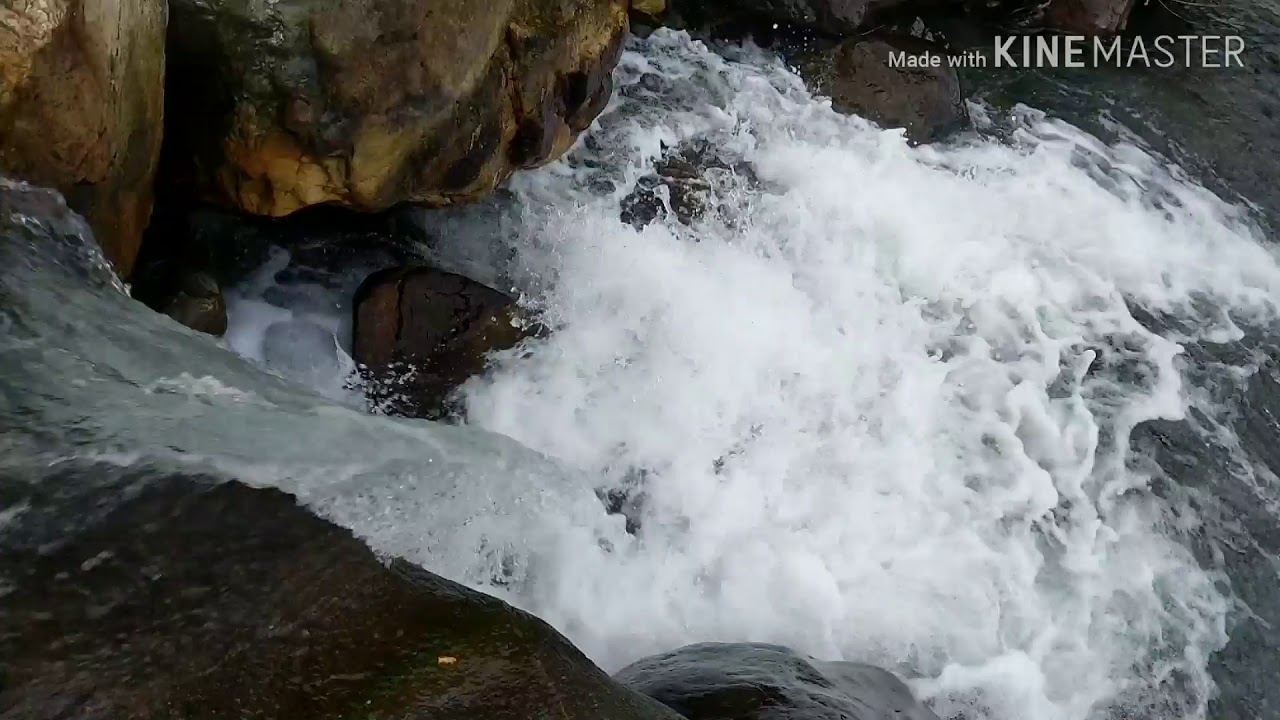 Beautiful Nature🌲🌺 - SHIMLA - North India🇮🇳🙏 - YouTube