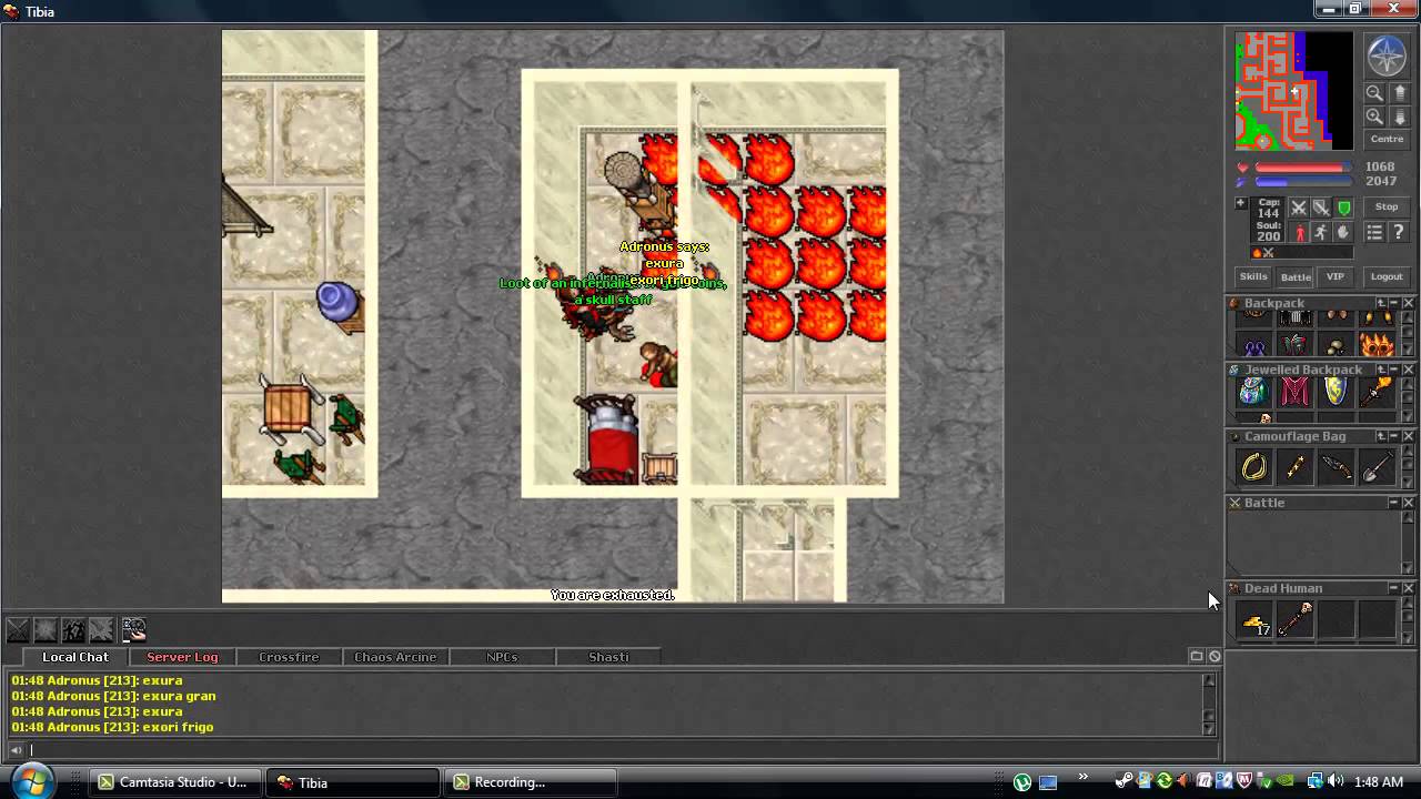 Tibia (The Life of Adronus #17) - Yalahar Magician Quarter (Warlocks ...