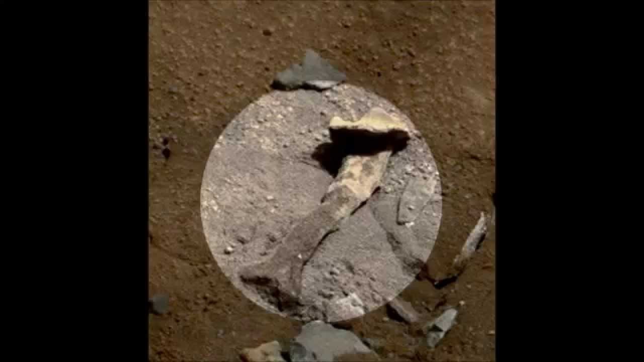 Bone/Fossil discovered 8/16/2014 Mars Rover Anomalies Sol-719 - YouTube
