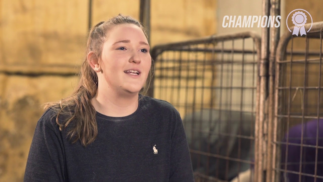 GrandDrive Champions: Arizona National 2017 Grand Champion Lamb, Kyra ...