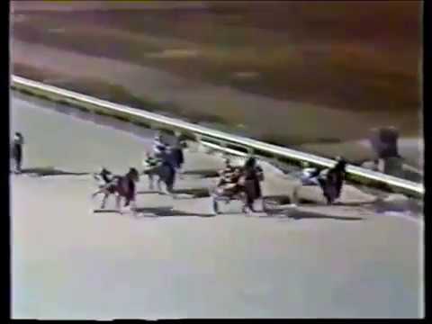 1987 Fairmount Park STICKY TWO STEP Invitational Pace Track Record Chris Loney