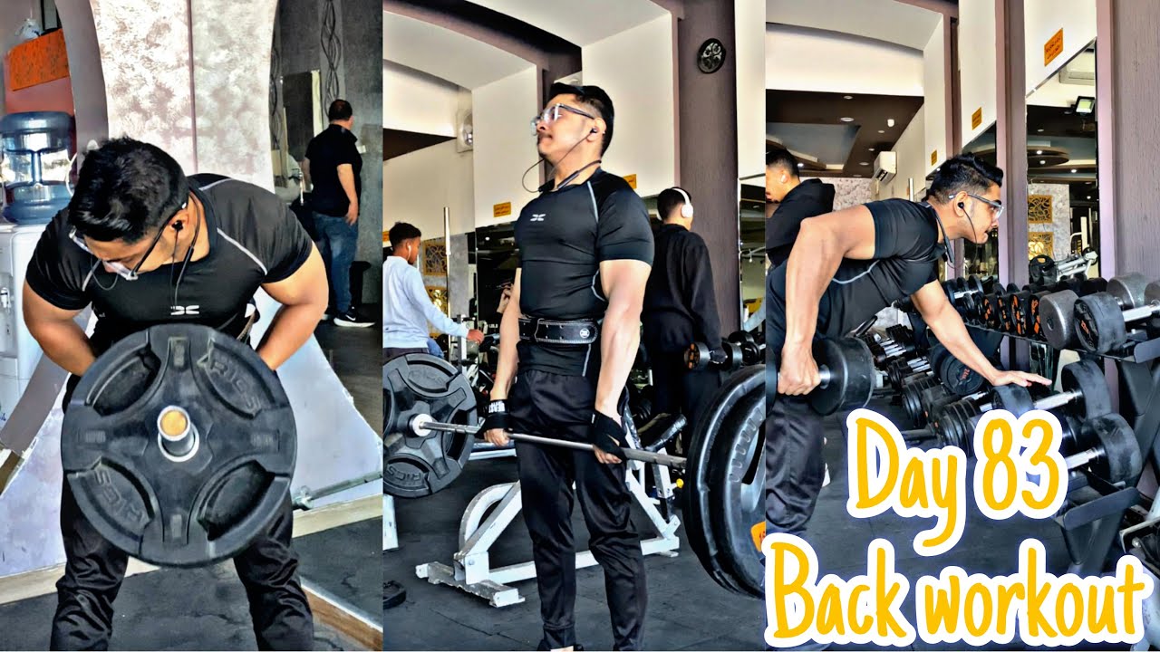 Day 83 of Fat to Fit || Back Workout || Daily Gym Workout Videos - YouTube