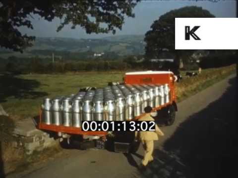 1950s, 1960s UK Dairy Farm, Milk Collection - YouTube