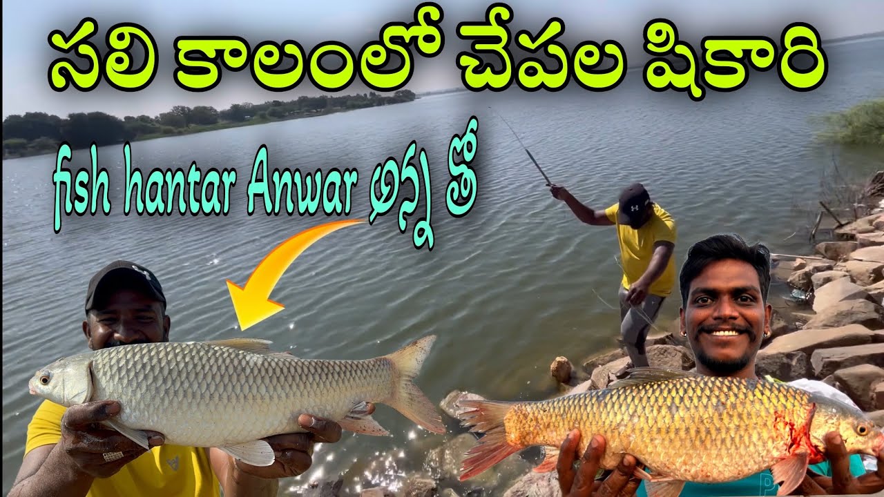 చలికాలంలో చేపల చికారి || fish hantar Anwar అన్నతో #bigfish #fishcutting ...