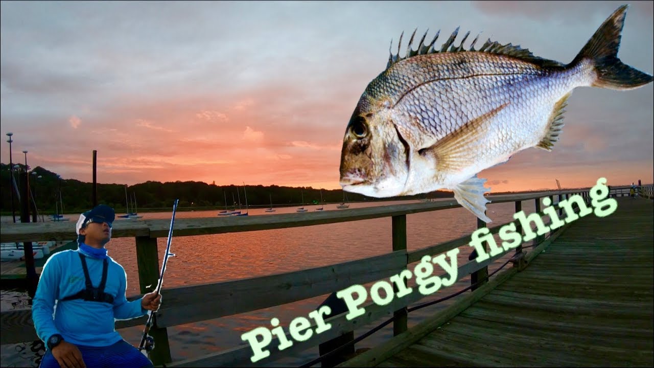Summer PORGY fishing on the pier July 2019 - YouTube