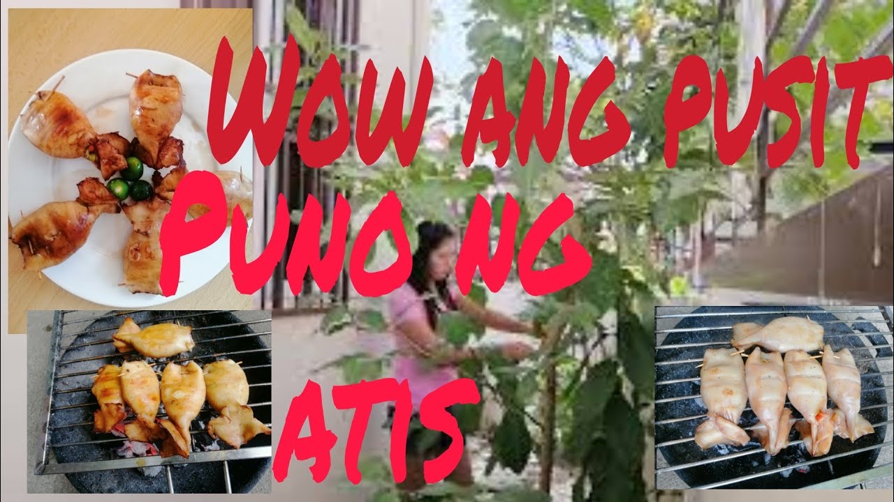 AMY KATORSE VLOG#82 NAG TANGAL NG DAHON NG PUNONG ATIS. INIHAW NA PUSIT ...